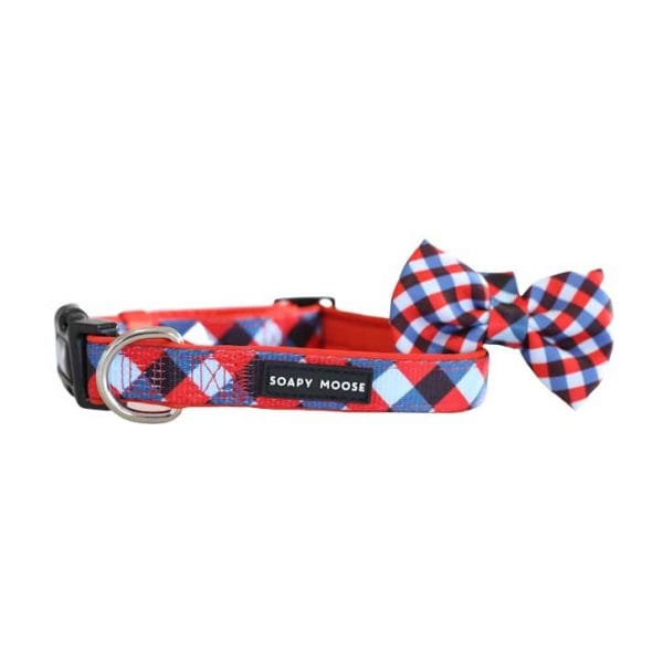 Trendsetter Dog Collar - Petway Petcare